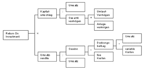 ROI-Analyse
